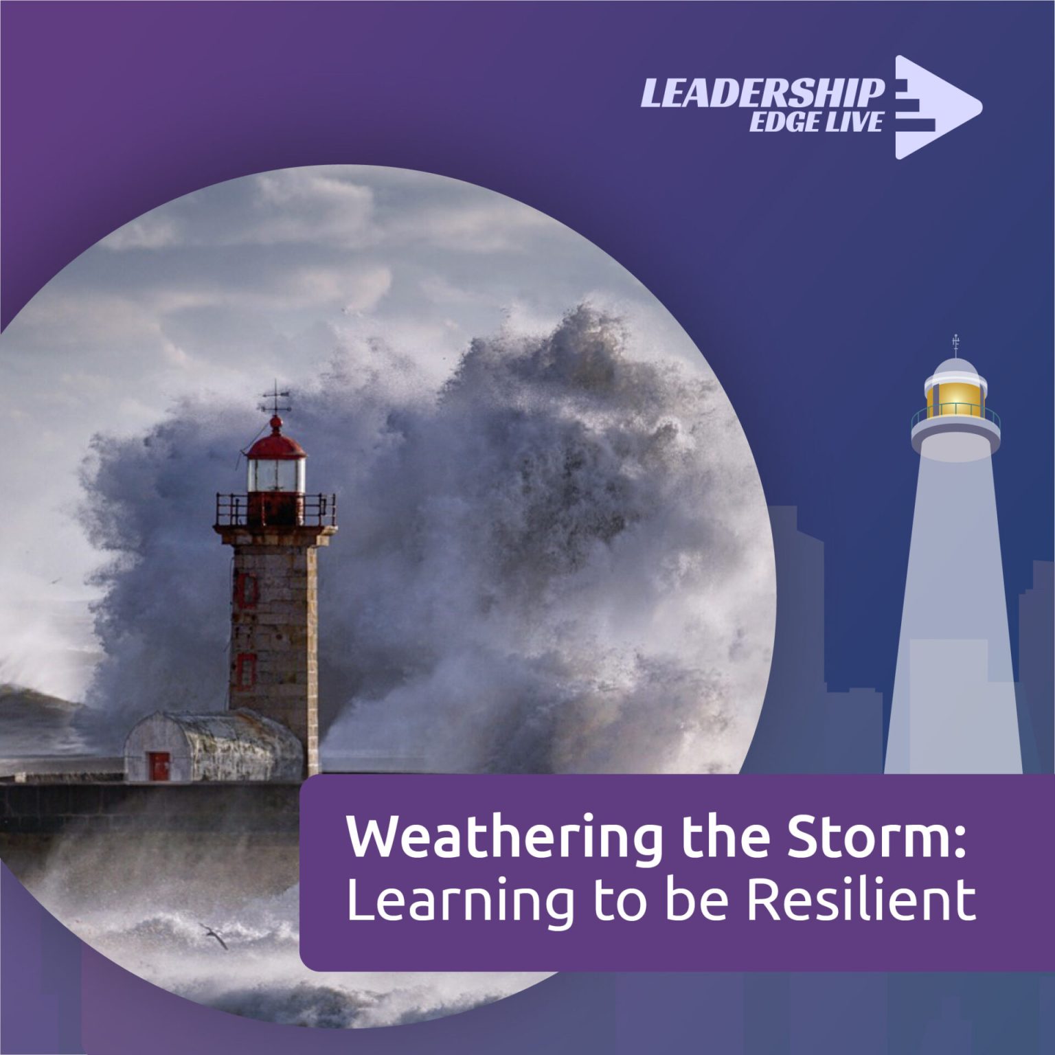Weathering the Storm - Learning to be Resilient - Leadership Edge Live